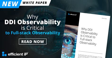 Why DDI Observability Is Critical Full Stack EfficientIP