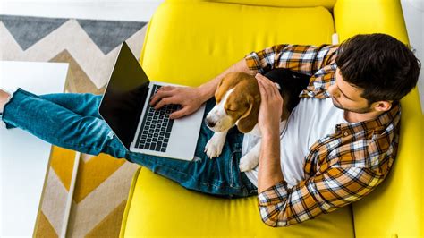 11 Ways To Know That You Will Be A Good QA Engineer Spin Career