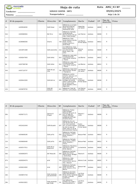 Hoja De Ruta De Entregas Apodaca Pdf Arboles