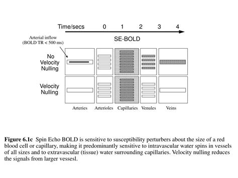 PPT Statistical Parametric Mapping PowerPoint Presentation Free Download ID