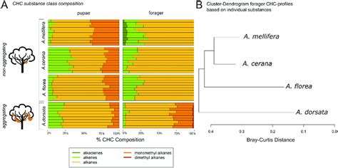 Comparison Of Hydrocarbon Substance Classes A Relative Proportions