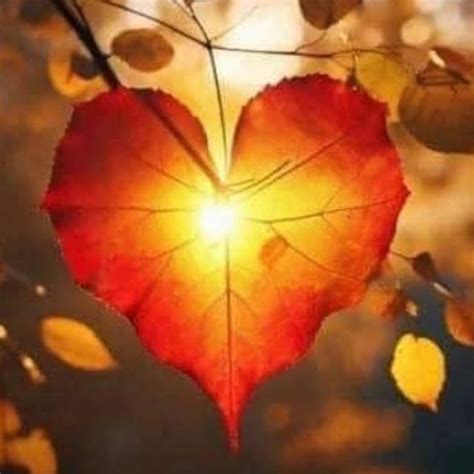 Take A Look At The Map And Your Question Will Be Answered You Guys Just Wont Quit