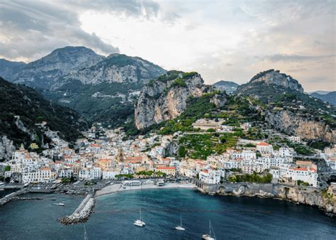 팔리니 리몬첼로 × 벨루가 벨루가