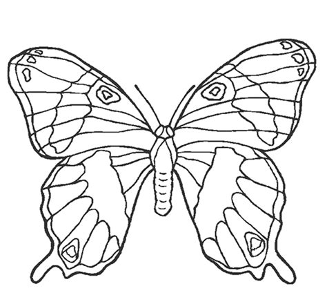Dibujos Para Calcar De Mariposas Imagui