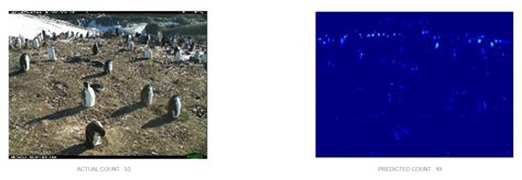 Deep Learning Algorithms Use Density Based Crowd Counting To Track