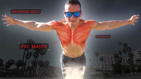 Building Lean Muscle Striations Motivation Youtube