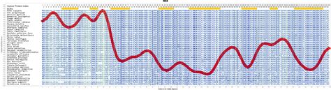 Hscb Gene Genecards Hsc20 Protein Hsc20 Antibody