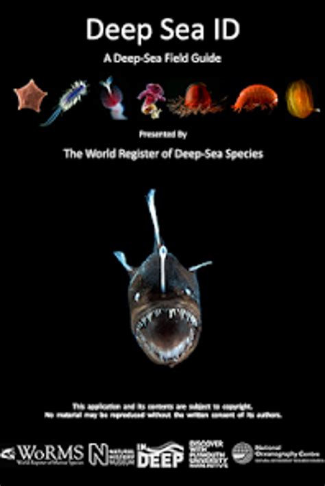Deep Sea Id For Android Download