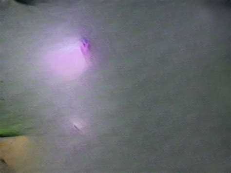 Lily Leapfrog S Remix Background By Qaani On Deviantart