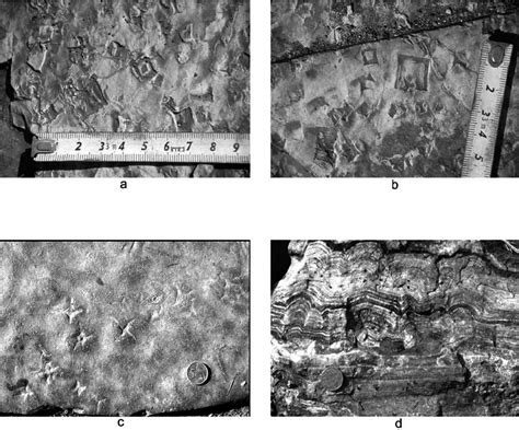 Photographs Of Halite Casts A Casts Of Halite Hopper Crystals In