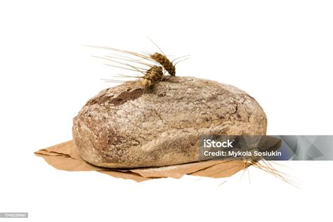 수제 천연 빵 하얀 배경에 분리된 다양한 종류의 신선한 빵 복사 공간이 있는 투시도 0명에 대한 스톡 사진 및 기타 이미지 0명 갈색 개성 개념 Istock