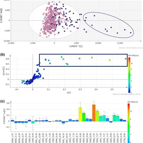 γ Glutamyltransferase GGT activities for each of the four defined Download Scientific Diagram