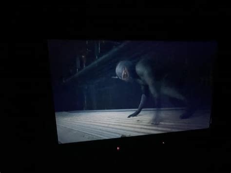 I Had Sex And Webbed On The Plane Rmorbius