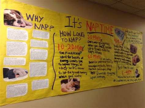 Its Naptime Tips For Taking Naps Ra Passive Program Passive Programs Ra Passive Programs