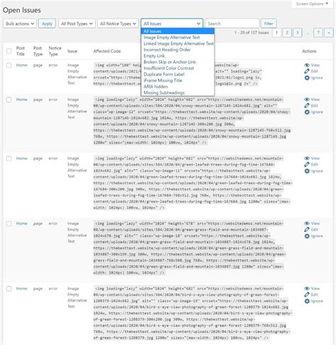 Wordpress Accessibility Checker Review Wcag And Wave Alternative