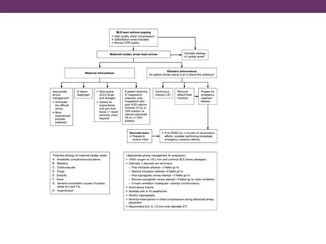 Maternal Cardiac Arrest English Pptx