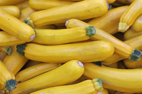10 Types Of Summer Squash Gardeners Love For Easy Abundant Harvests