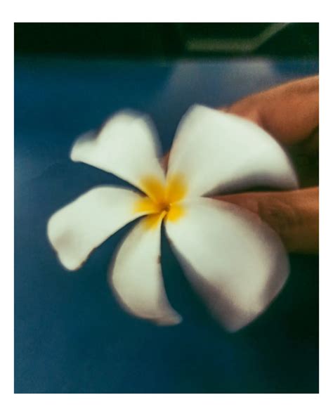 He Who Shot 15 0 ချစ်သူသာ ပန်းတပွင့် Instagram