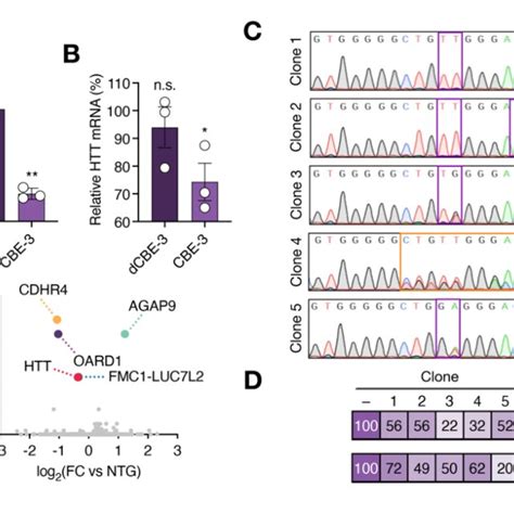 targeting the htt promoter in vivo can lower htt expression in a mouse