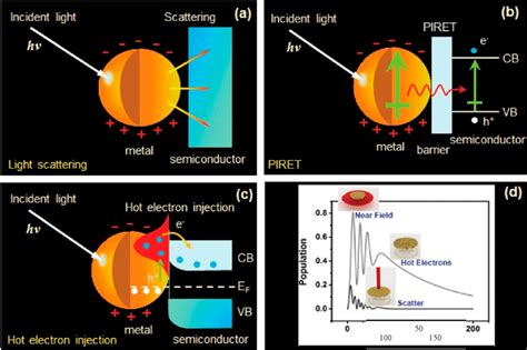 Possible Energy Transfer Routes In Plasmon Enhanced Photocatalysis Download Scientific Diagram