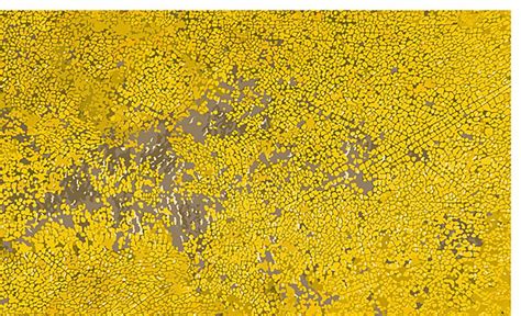 Tracing Texture Of Old Yellow Saddle Natural Texture Old Vector Natural Texture Old Png And