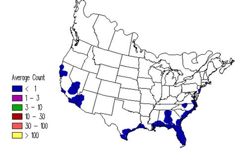 Least Bittern Ebirdr