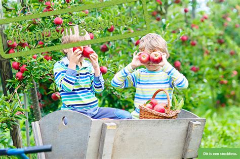 Heb Jij Ruimte Voor één Van Deze Gezellige Tweeling Buurtgezinnen