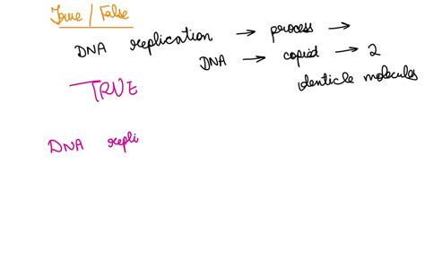 Solved The Dna In Your Cells Directs The Process Of Protein Synthesis True Or False
