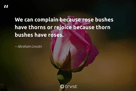 78 Rose Quotes About Natural Beauty Love And Thorns