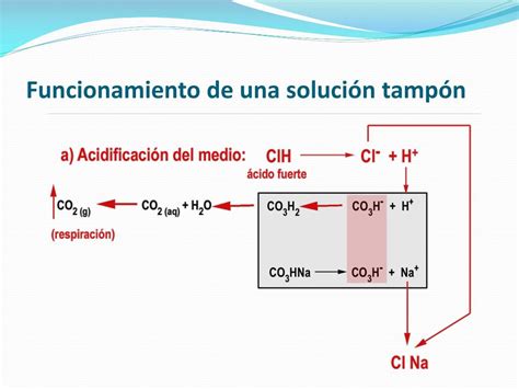 Ppt Biomoléculas Inorgánicas Powerpoint Presentation Free Download