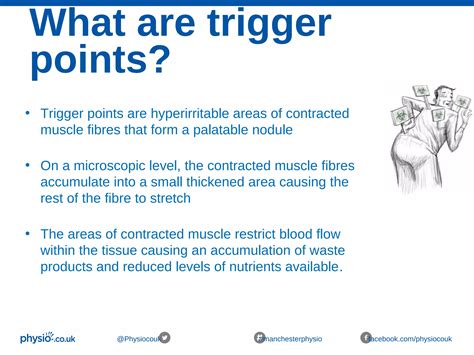 Trigger Point Therapy Slides PPT