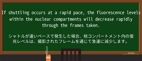 【英単語】decrease Rapidlyを徹底解説！意味、使い方、例文、読み方 おもしろい英文法