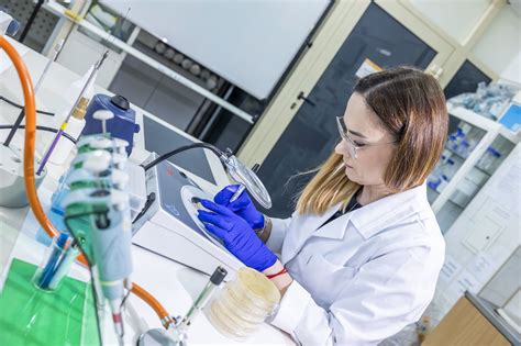 Evaluation Of The Antimicrobial Activity Of Selected European Fungal