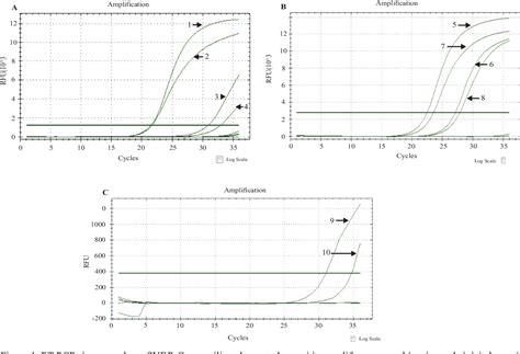 Figure 1 From Detection Of Three Citrus Viroids Species From Nuevo Leon And Tamaulipas Mexico