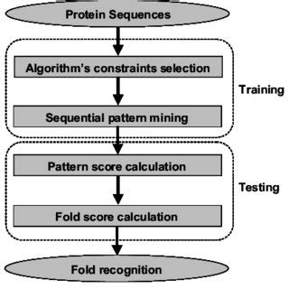 Schematic Representation Of The Testing Phase Download Scientific Diagram