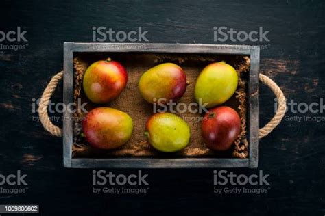 신선한 망고 나무 상자에 에 나무 배경 열 대 과일입니다 최고의 볼 수 있습니다 무료 사본 공간입니다 0명에 대한 스톡 사진 및 기타 이미지 Istock