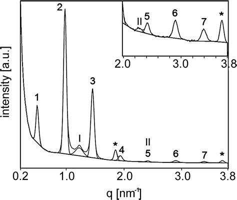 New Insights Into The Stratum Corneum Lipid Organization By X Ray
