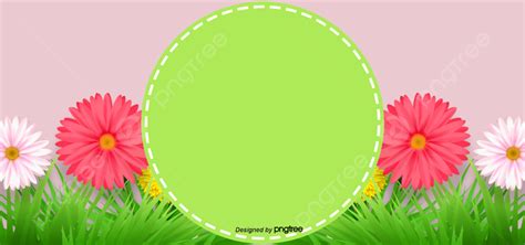Spring Grass Flower Plant Nature Background Plant Flower Nature Background Image And