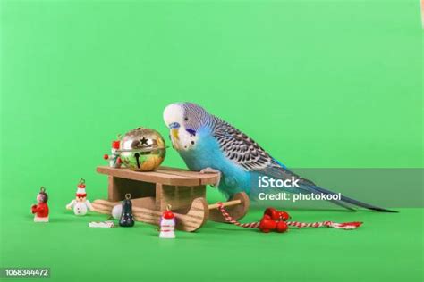 하늘색 물결 앵무새 컬러 바탕에 플라스틱 장난감 크리스마스입니다 크리스마스 트리입니다 크리스마스 전나무 나무 썰매 0명에 대한 스톡 사진 및 기타 이미지 Istock