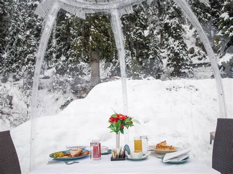 Indias First Glass Igloo Restaurant In Jandks Gulmarg Grabs Attention