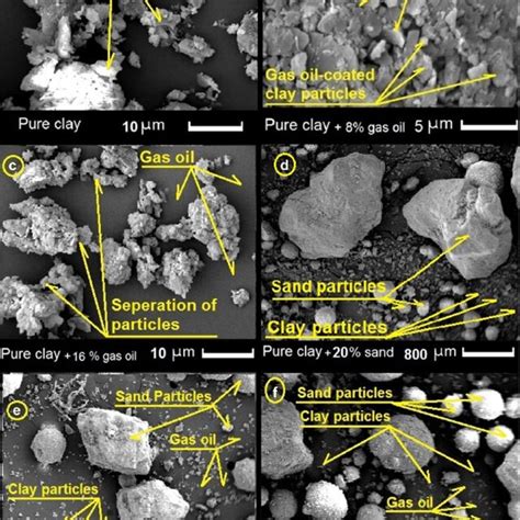 Sem Images Related To Samples Of A Clean Pure Clay B Pure Clay With 8