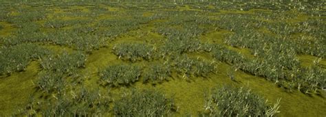 Why Is My Grass Lighting Over Lit On One Side On Under Lit On The Other