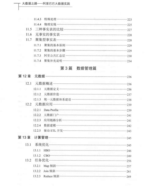 大数据之路：阿里巴巴大数据实践