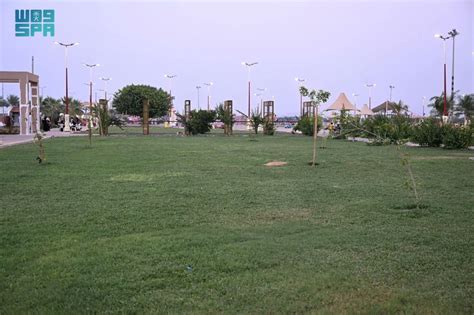 المواقع الترفيهية بمحافظة أبو عريش وجهات سياحية مميزة تجذب المتنزهين