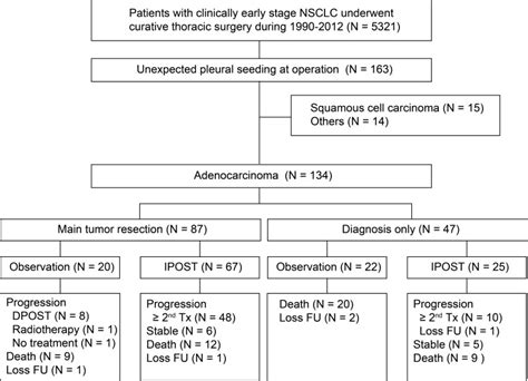 Effect Of Postoperative Systemic Therapy On Pulmonary Adenocarcinoma