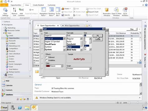 crm 2011 conditional formatting demo wmv youtube