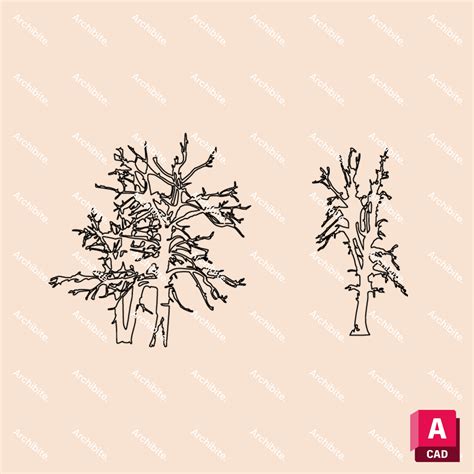 Dwg Winter Trees Elevation