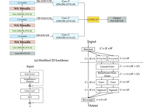 modified 2d backbone a the 2d backbone where conv denotes the