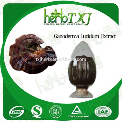Ganoderma Lucidum Extractganoderma Lucidum Bulk Powder High Quality Ganoderma Lucidum Extract
