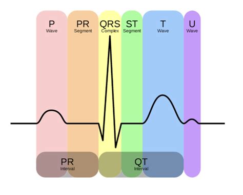 Qt Interval Ecg Weekly
